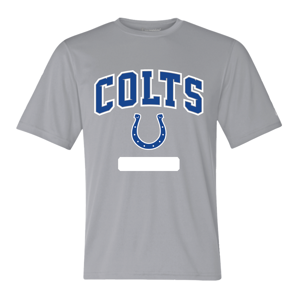 Colts Athletics SS DriFit Performance Tee in Steel Grey by Champion ...